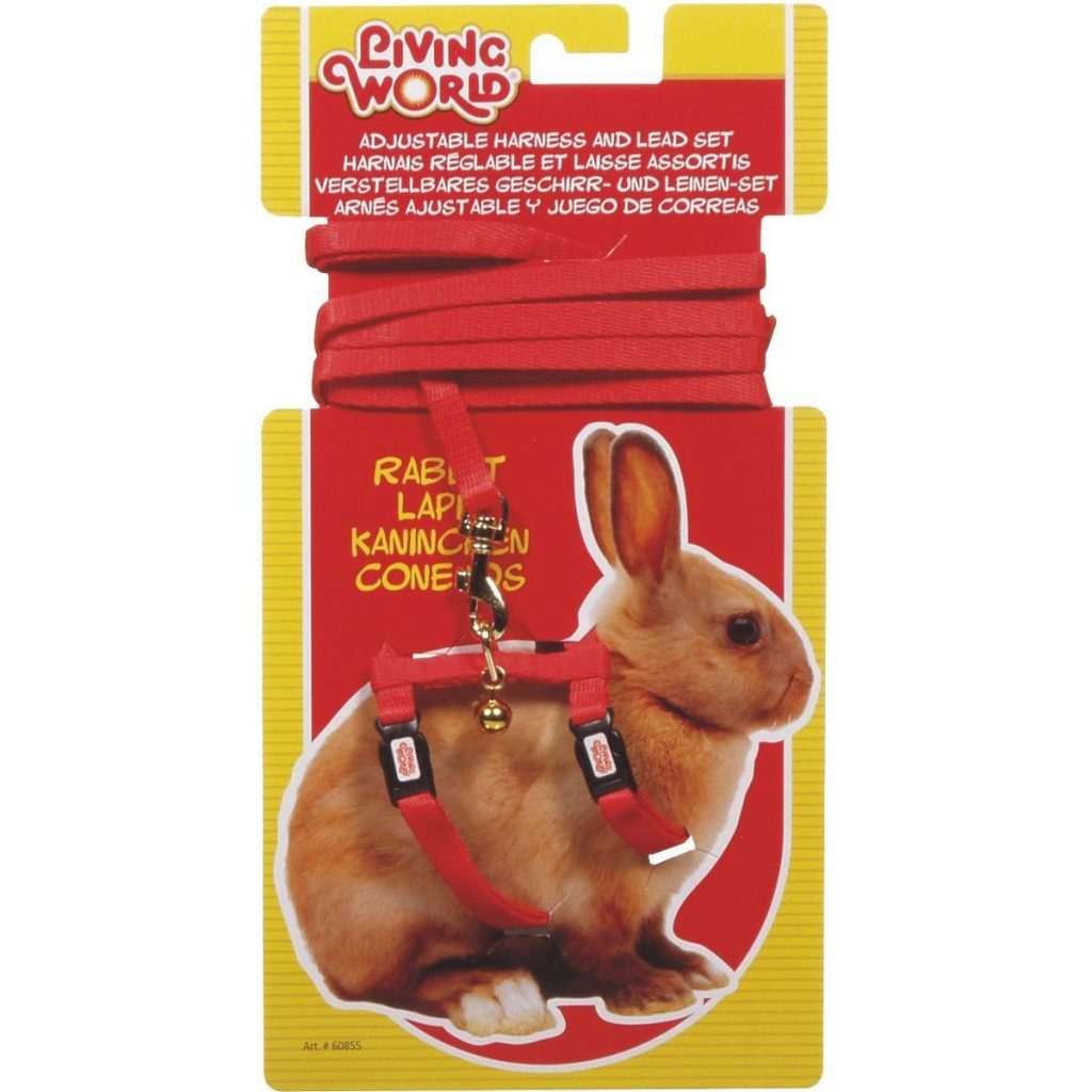 Rabbit Harness/Lead Set - RED - It's Pet-Tacular