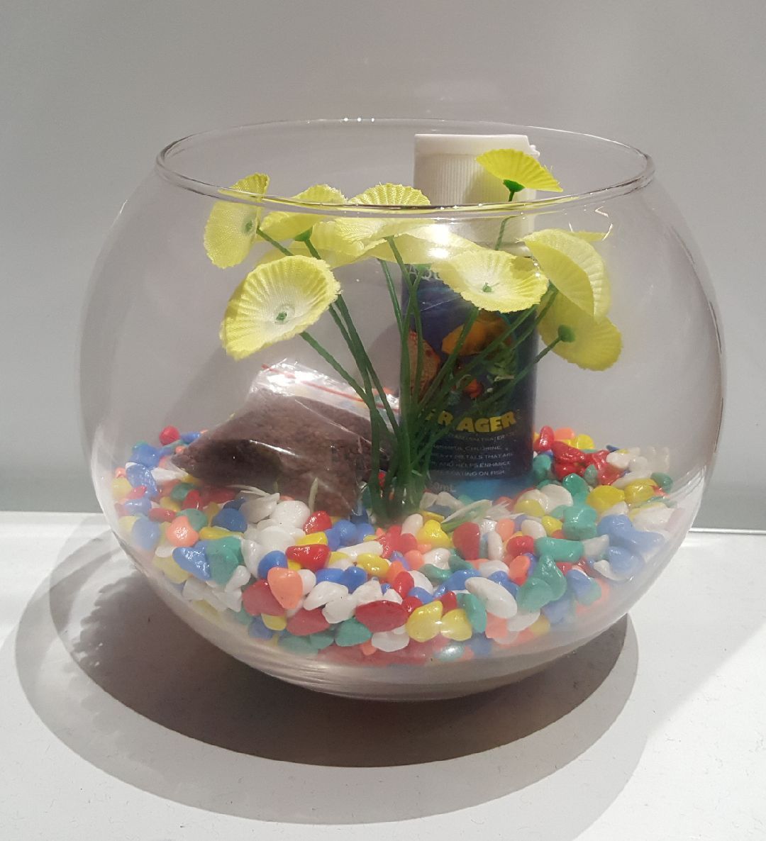 Betta Siamese Fish Bowl Set up - It's Pet-Tacular