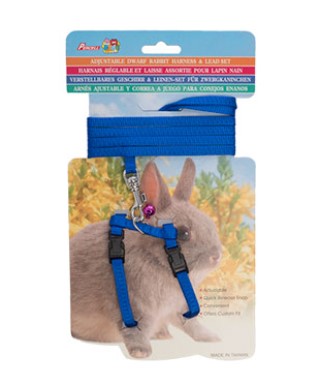 Rabbit Harness/Lead Set - BLUE - It's Pet-Tacular